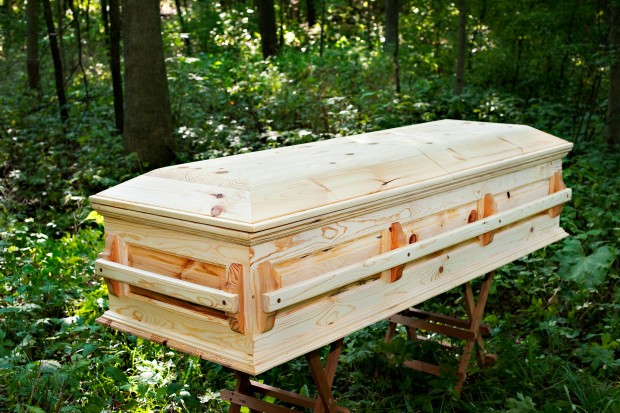 Homemade Casket Designs PDF Woodworking