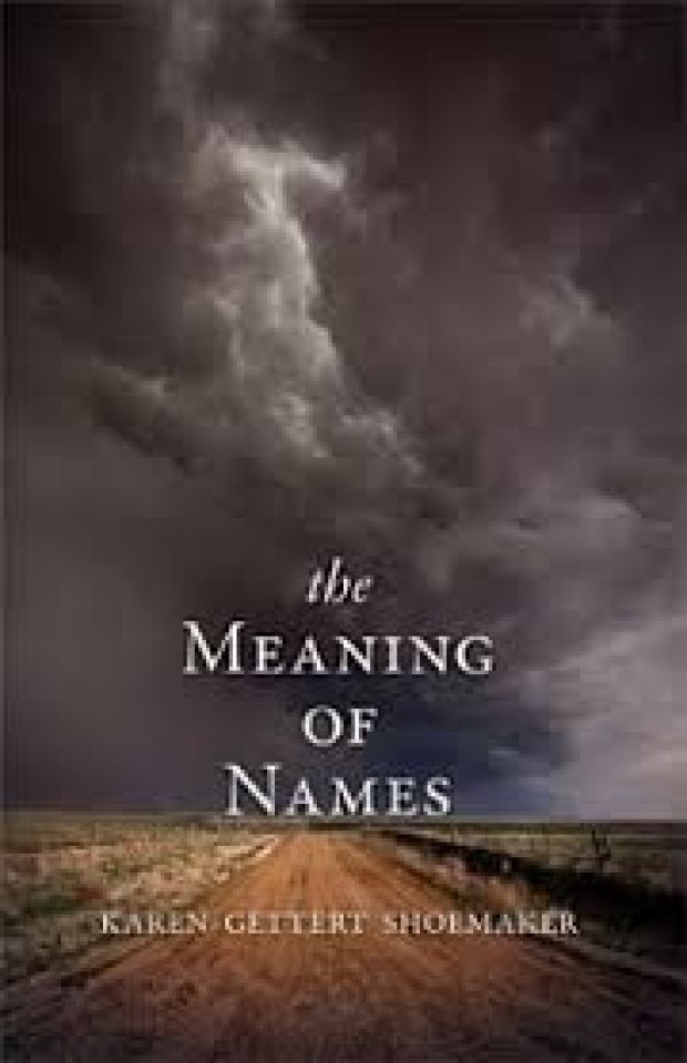 Book Review Meaning Of Names By Karen Gettert Shoemaker Ground Zero
