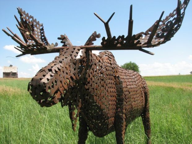 Gallagher Thanks To Farmer Moose Avoids Scrap Heap In Cherokee Iowa
