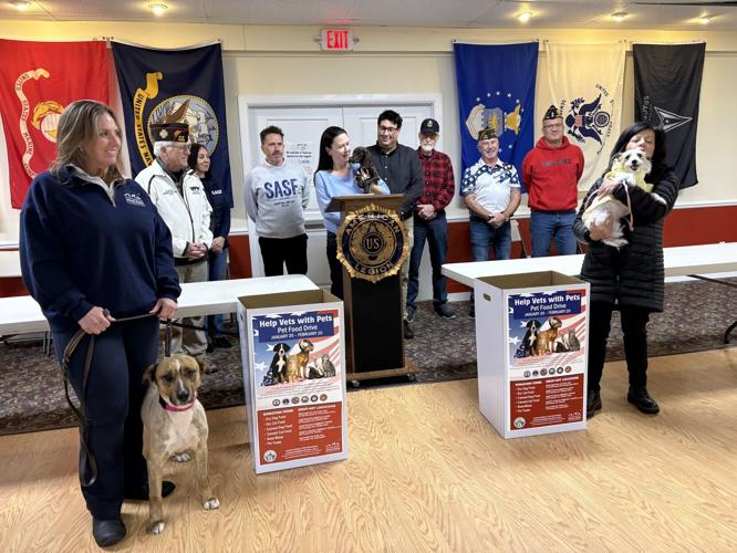 Southampton Town Animal Shelter Foundation Launches ‘Help Vets With ...
