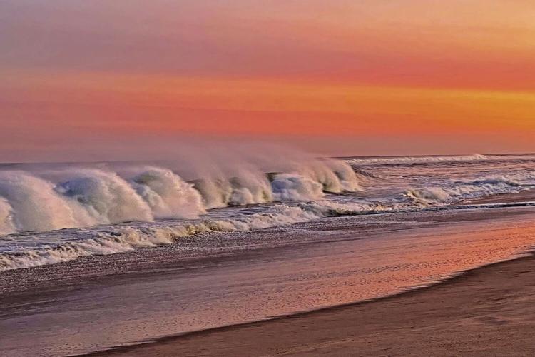 For Artist Patti Grabel, Every Picture Tells a Story | News | 27east.com