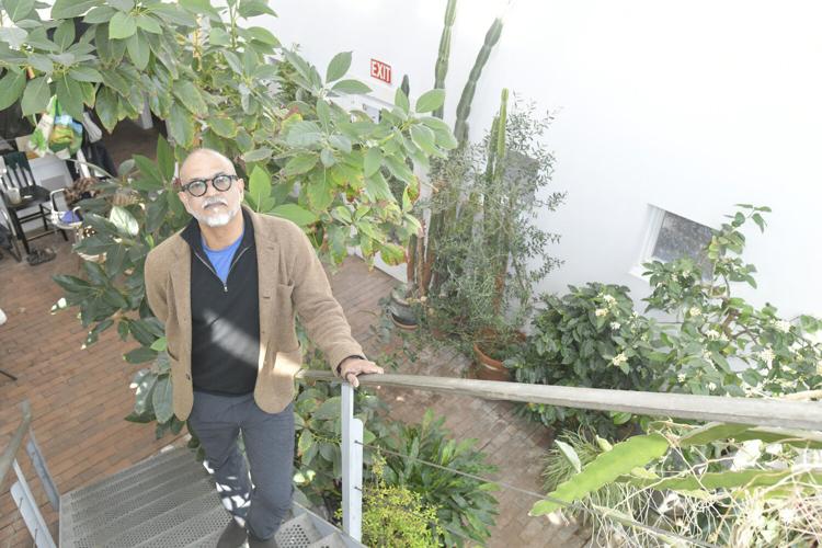 'Radically Reimagining' Sustainable Design at Oza Sabbeth | Home ...