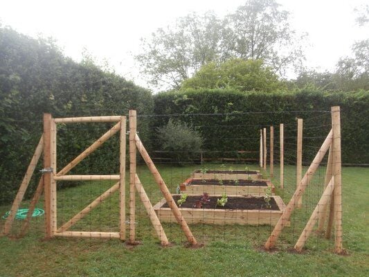Sagaponack Common School Students Grow Vegetables In New Educational ...