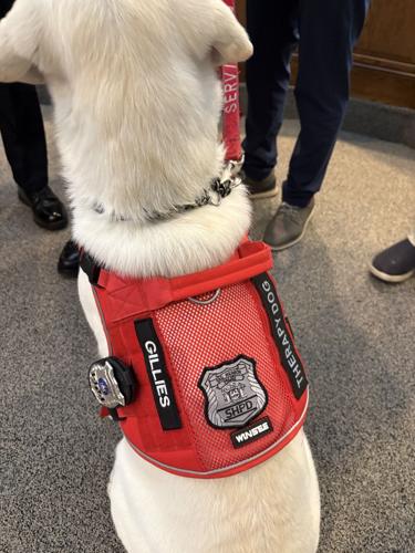 Sag Harbor’s Newest Officer Has Four Legs and a Mission To Reduce ...