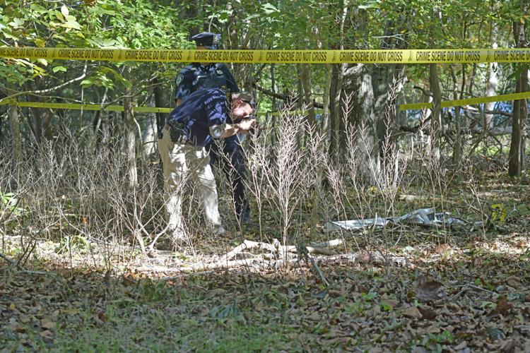 Prominent Pilot Killed in East Hampton Plane Crash | The East Hampton ...