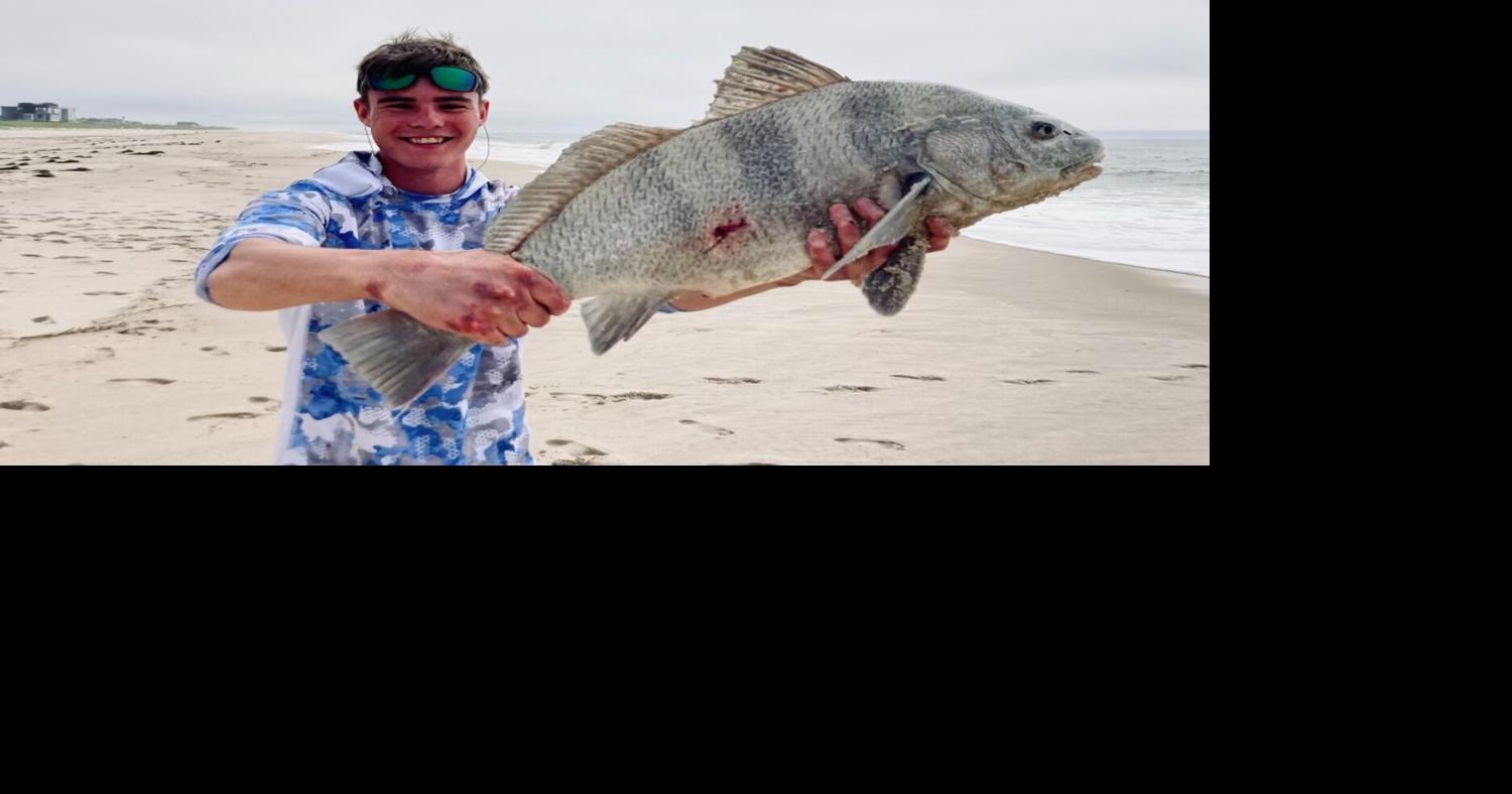 The Striped Bass Micro-Slot Is Here | The East Hampton Press | 27east.com