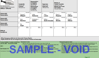 Here’s Who Is Running for a Seat on the East Hampton Democratic ...