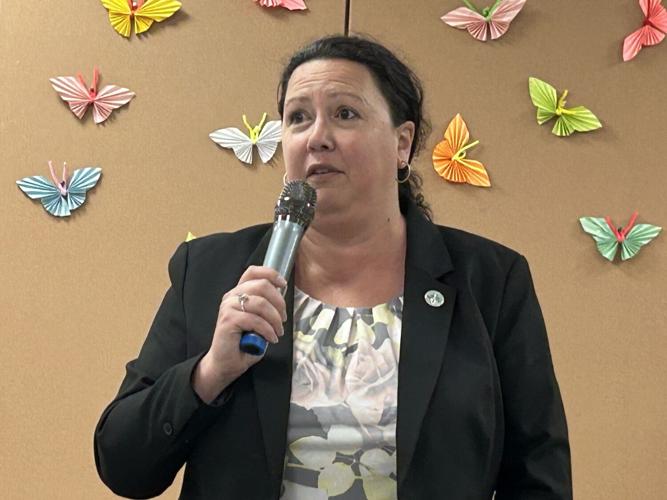 BESS Debate About Moratorium, Potential Code Revisions and Hampton Bays ...
