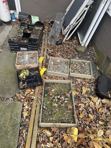 Stash Those Seeds: How To Keep Next Year’s Garden Growing | Home ...
