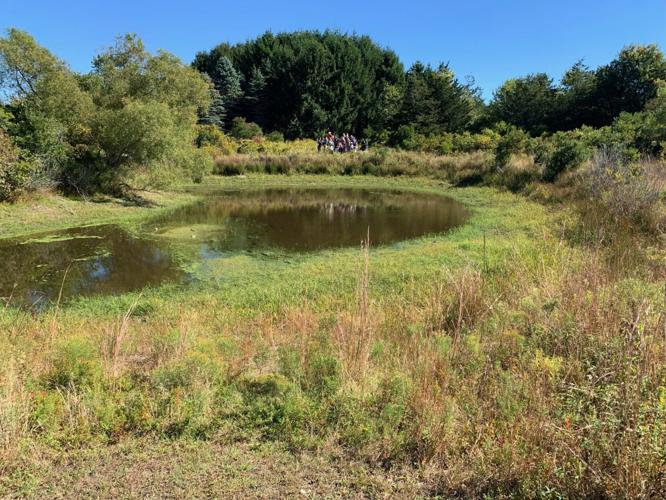 Friends of Long Pond Greenbelt Celebrate 25 Years of Advocacy | The ...