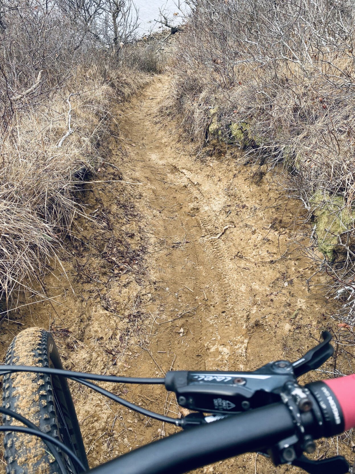 Hither Woods Trail | Outdoors & Recreation | 27east.com