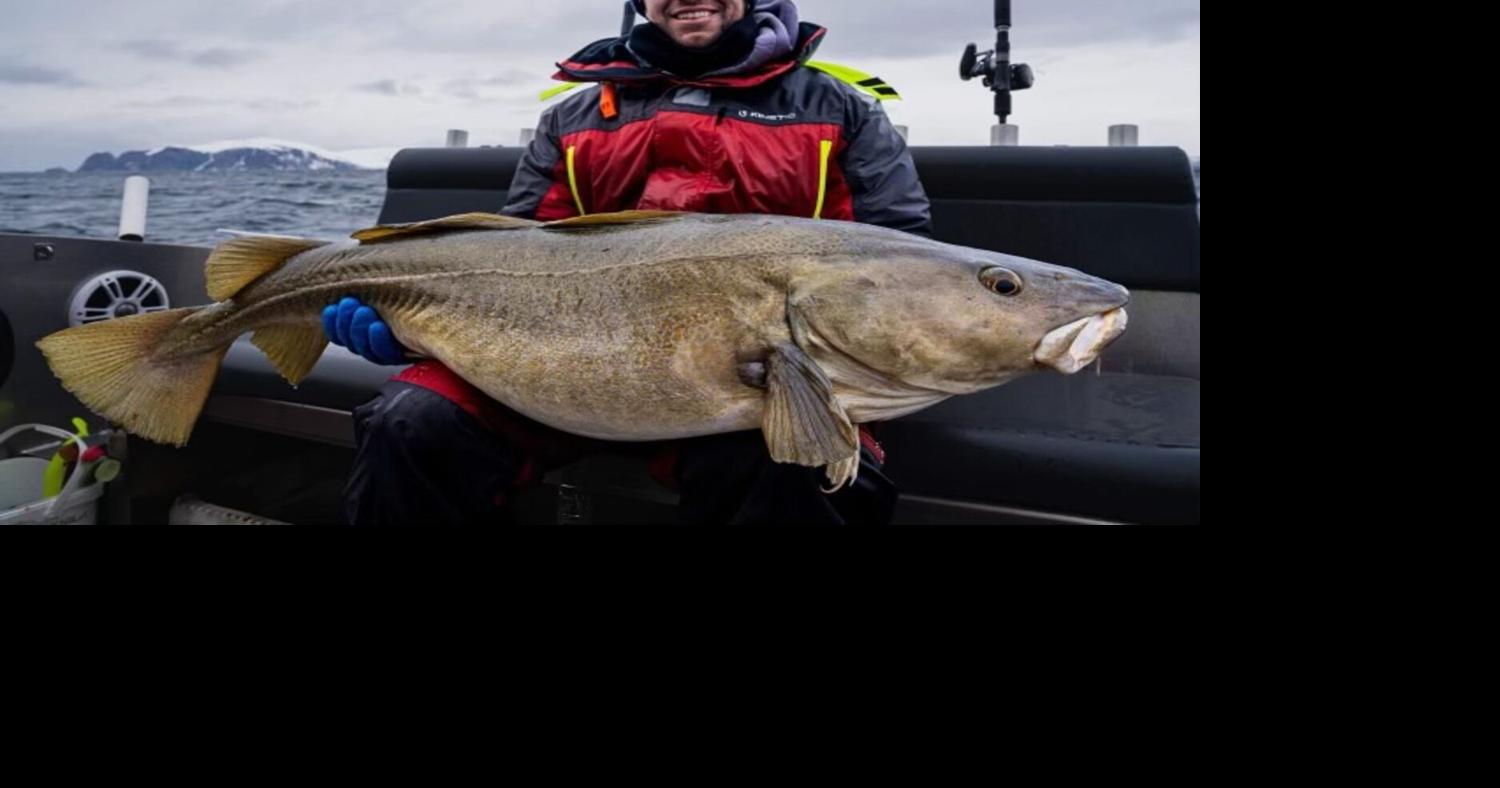Big Cod a Window Into the Past, From a Failing Future | The East ...