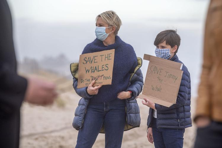 A Whale Of A Protest Against Wind Farm | The East Hampton Press ...