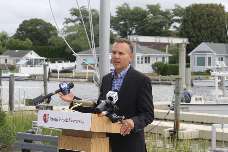 Clam Restoration Has Spearheaded Ecological Reversal In Shinnecock Bay ...