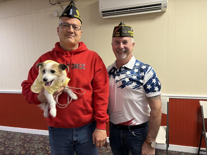 Southampton Town Animal Shelter Foundation Launches ‘Help Vets With ...