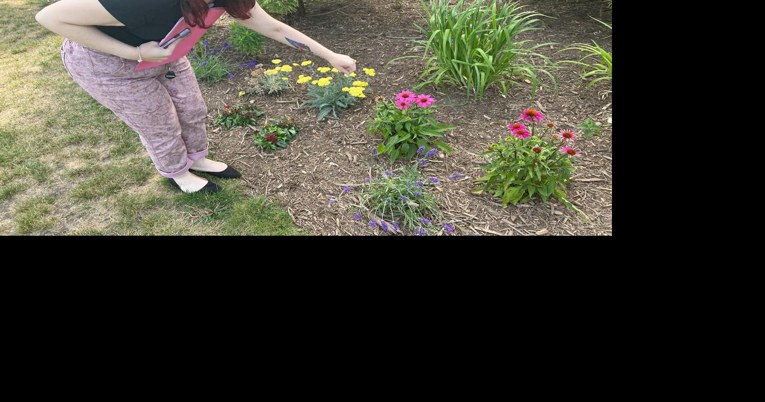 Westhampton Free Library Plants Pollinator Garden in Glovers Park ...