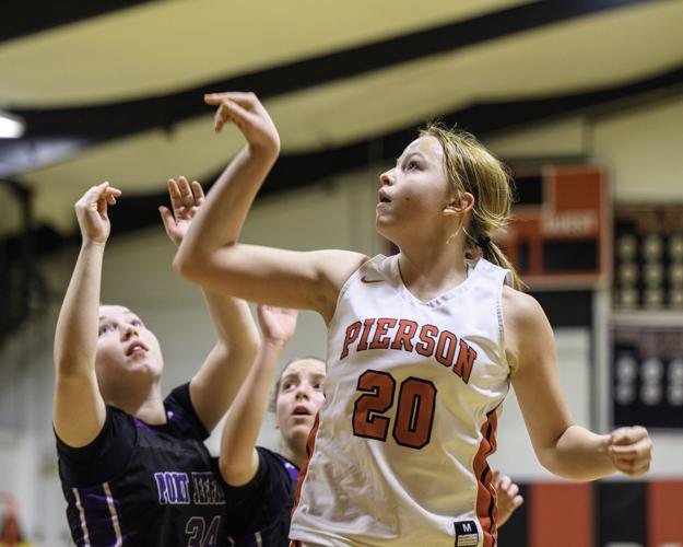 Whalers, Killer Bees Earn Winter Postseason Honors | The Sag Harbor ...