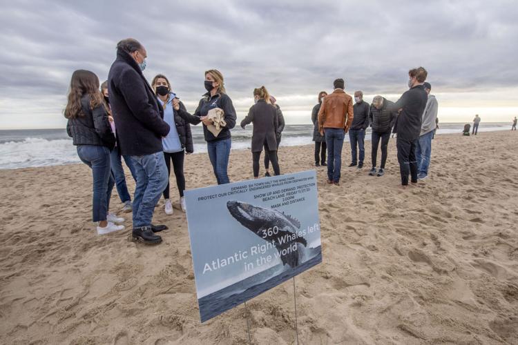 A Whale Of A Protest Against Wind Farm | The East Hampton Press ...
