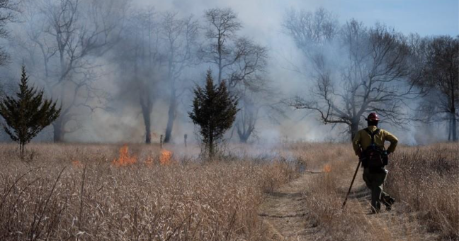 The Nature Conservancy Plans Prescribed Burns at Mashomack Preserve on ...