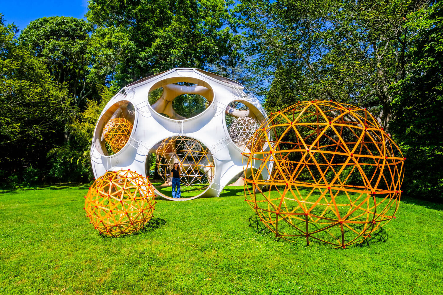 Buckminster Fuller ‘Fly’s Eye Dome’ at LongHouse Reserve Destroyed ...