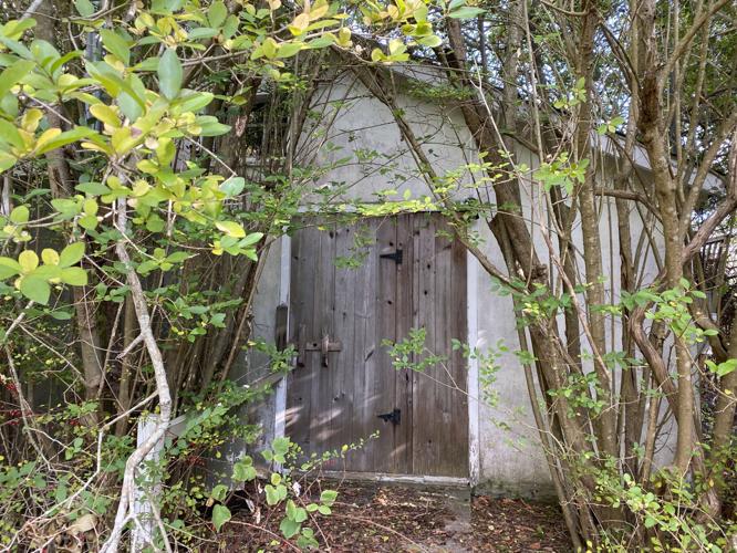Peter Matthiessen's Former Sagaponack Home Could Become Center For ...