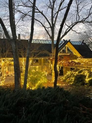 Zima! Gets Illuminated at LongHouse Reserve | Arts & Living | 27east.com