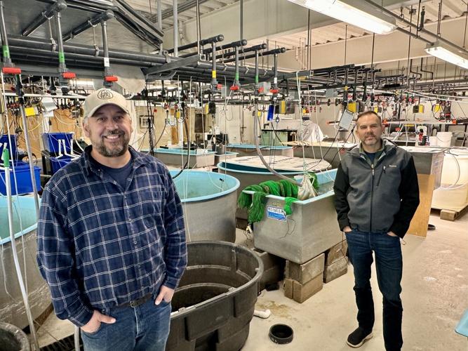 From Southampton College to Stony Brook University, Marine Science Has ...