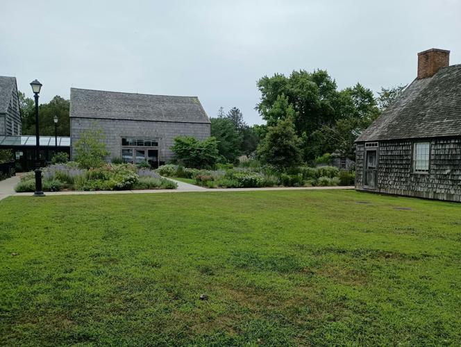 Proposal for Native Plant Garden at Doscher Park in Southampton Village ...