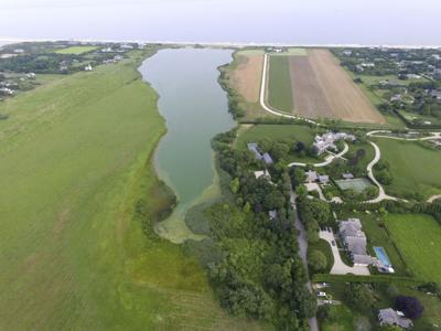 Scientist Recommends Dredging Wainscott PondTo Overcome Blue-Green ...