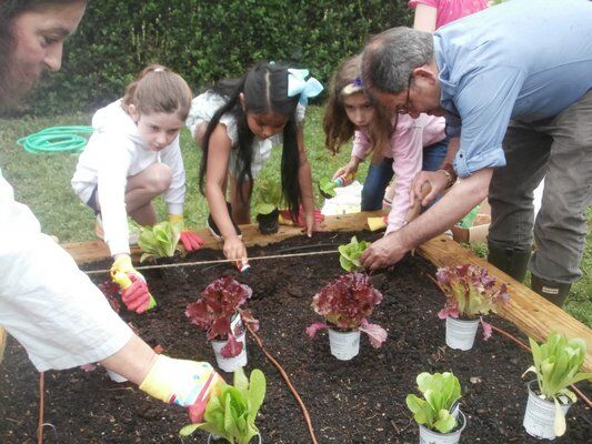 Sagaponack Common School Students Grow Vegetables In New Educational ...