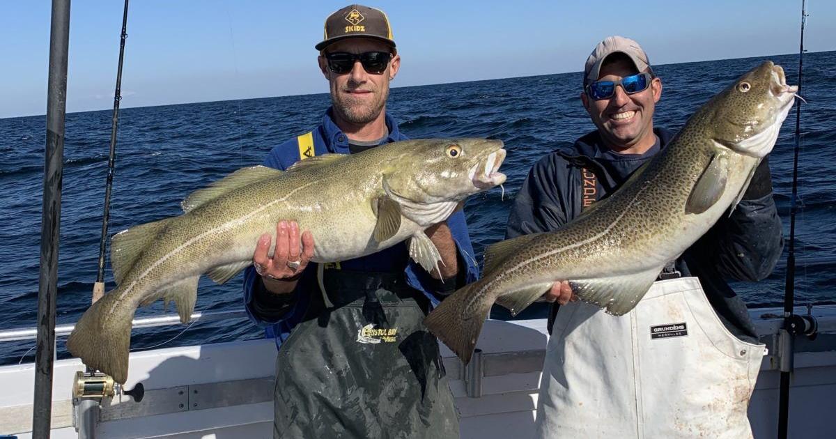 The Era Of The Striped Bass Slot Limit Is Here | The East Hampton Press ...