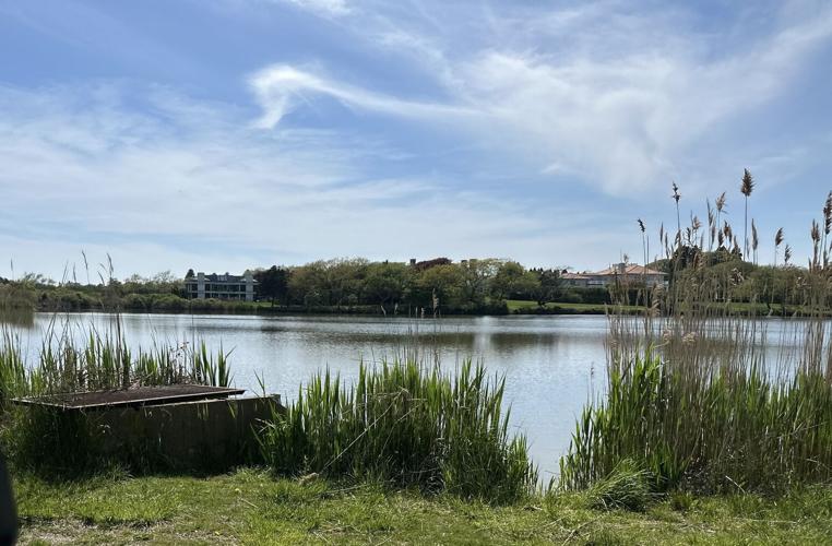 Southampton Village Board Approves Environmental Review of Old Town ...