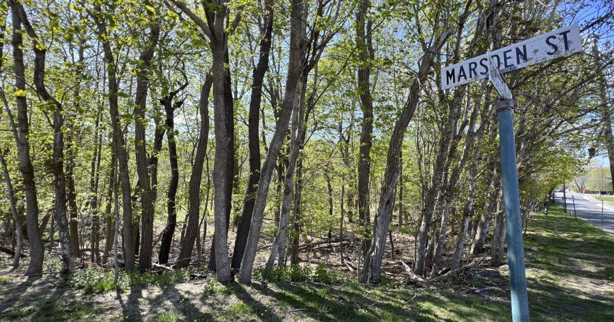 Marsden Debate Heats Up as Vote Approaches | Education | 27east.com
