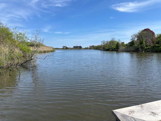 Southampton Village Board Approves Environmental Review of Old Town ...