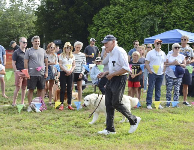 Best in Show — and Spirit — at East Hampton Lions Club Dog Show | The ...