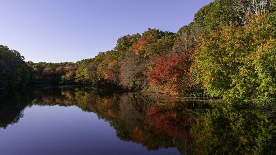 A Daily Dose of Nature on Trout Pond | The East Hampton Press | 27east.com