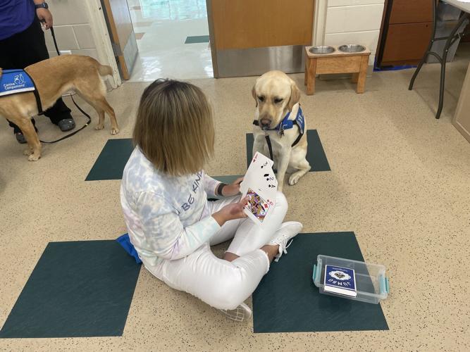 Westhampton Beach Middle School Welcomes Canine Companions Dog 'Oric ...