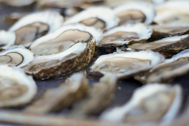 Winter Oysters: Why North Fork’s Shellfish Shine in the Offseason ...