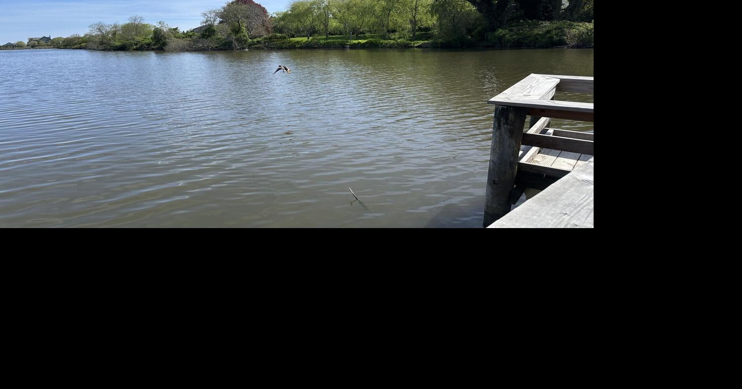 Southampton Village Board Approves Environmental Review of Old Town ...