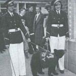 Monte, Montana Griz mascot, inducted in Mascot Hall of Fame