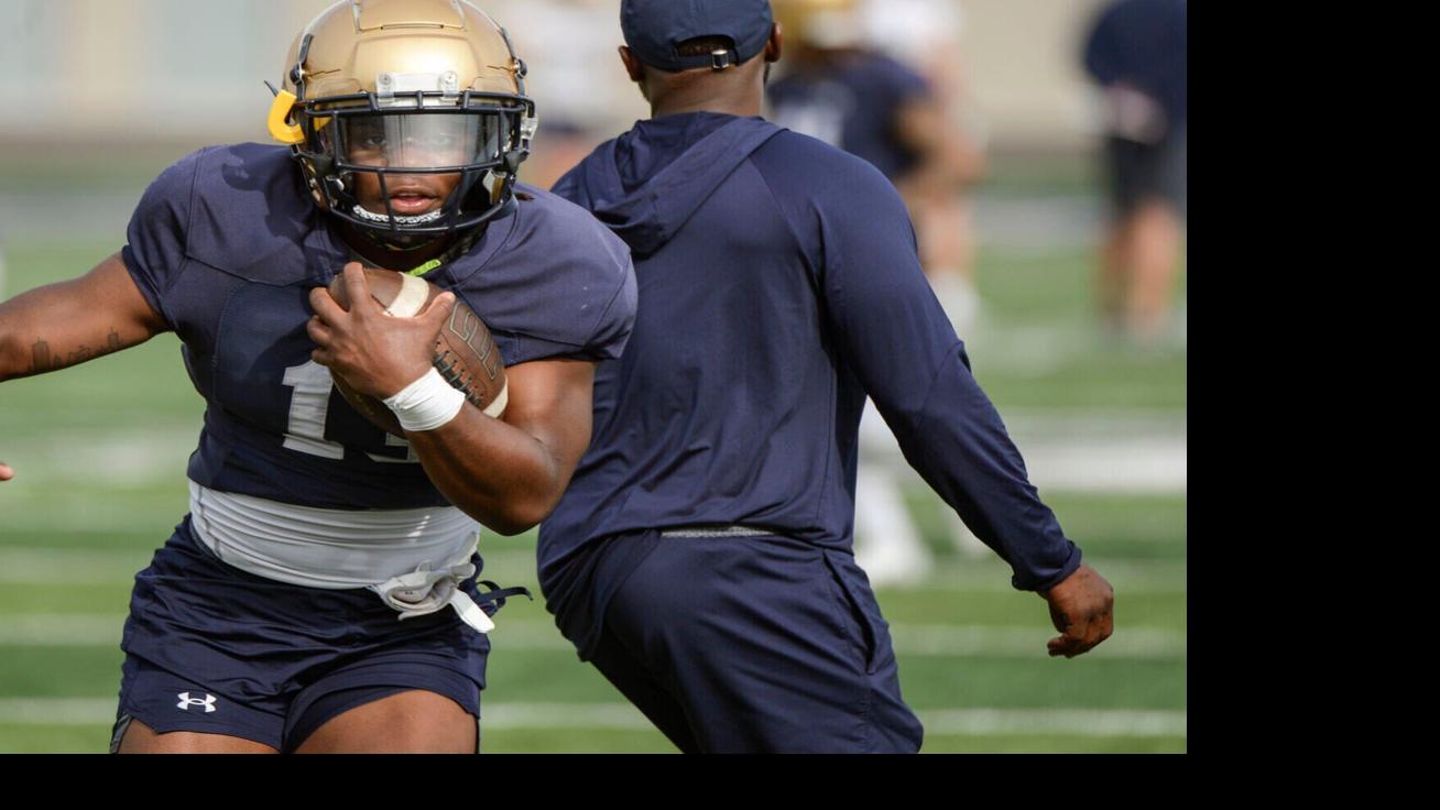 Montana State University Bobcats | 406mtsports.com