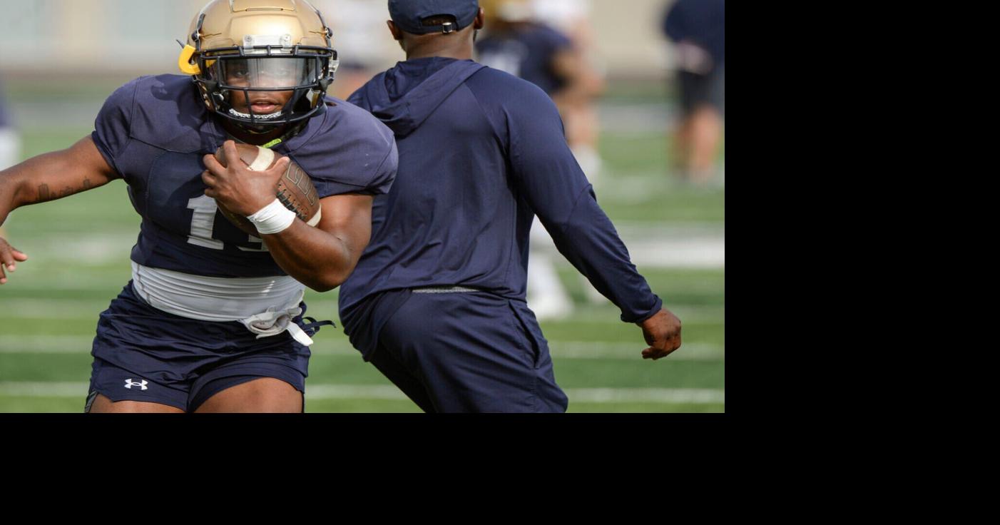 A breakdown of Montana State's running backs before the 2022 season