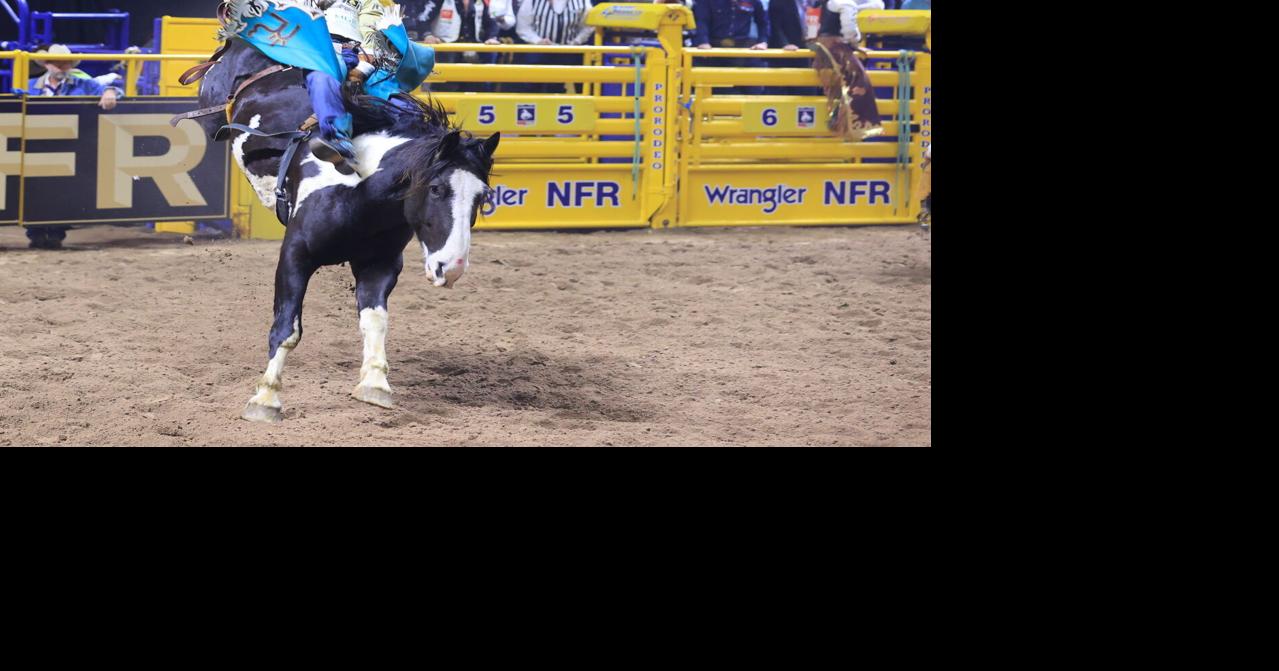 Montana cowboys and cowgirls at the 2025 NFR