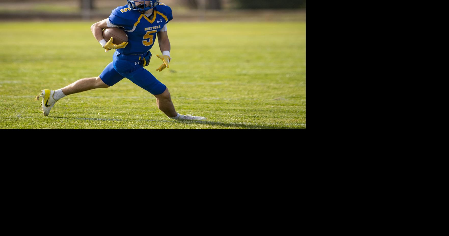 Dickinson State football announces signings from Lockwood, Shepherd and ...