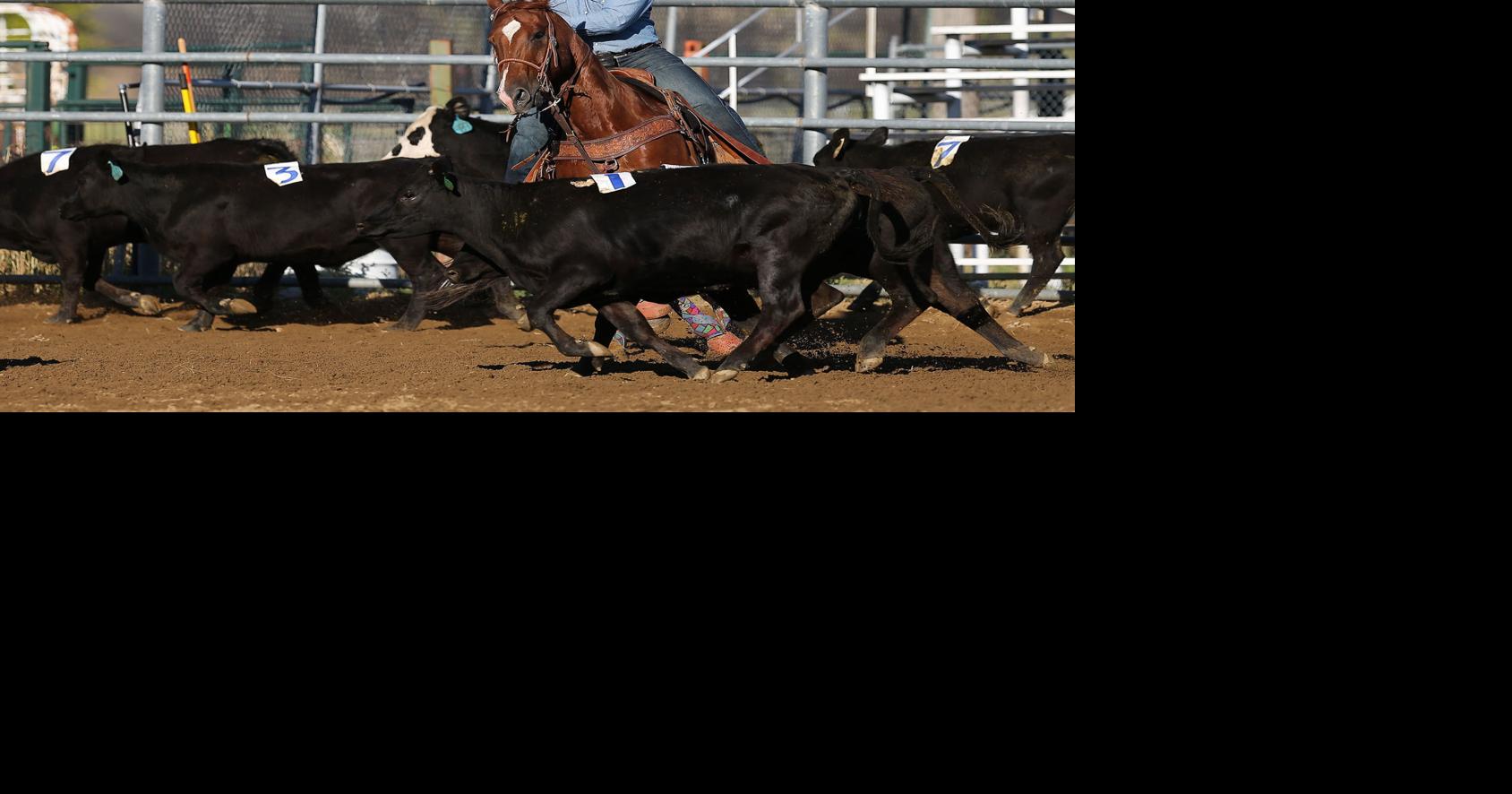 Murphy family successfully defends team penning title at Lewis and ...