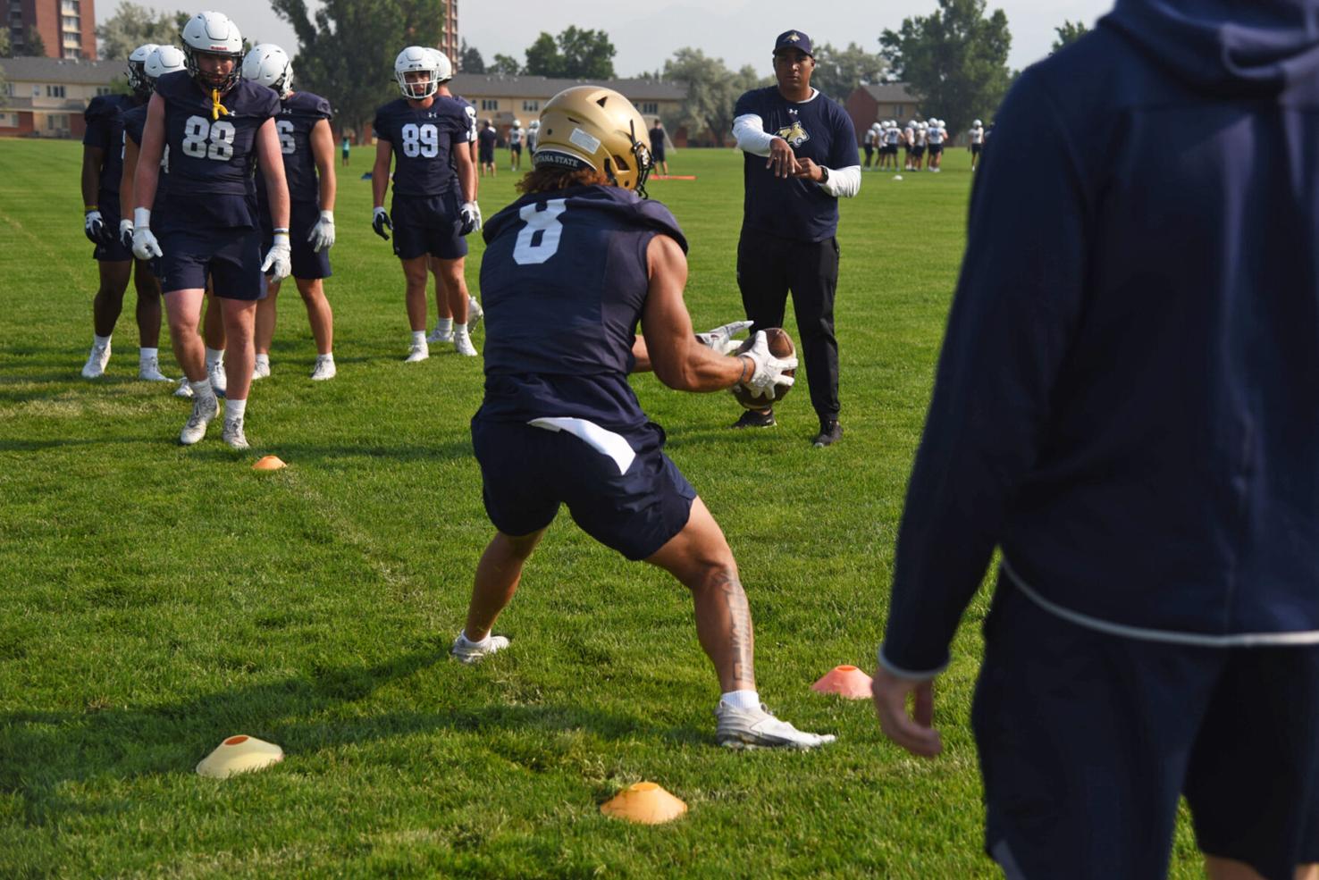 Jordan Walsh joins Montana State after time at Iowa, Wyoming