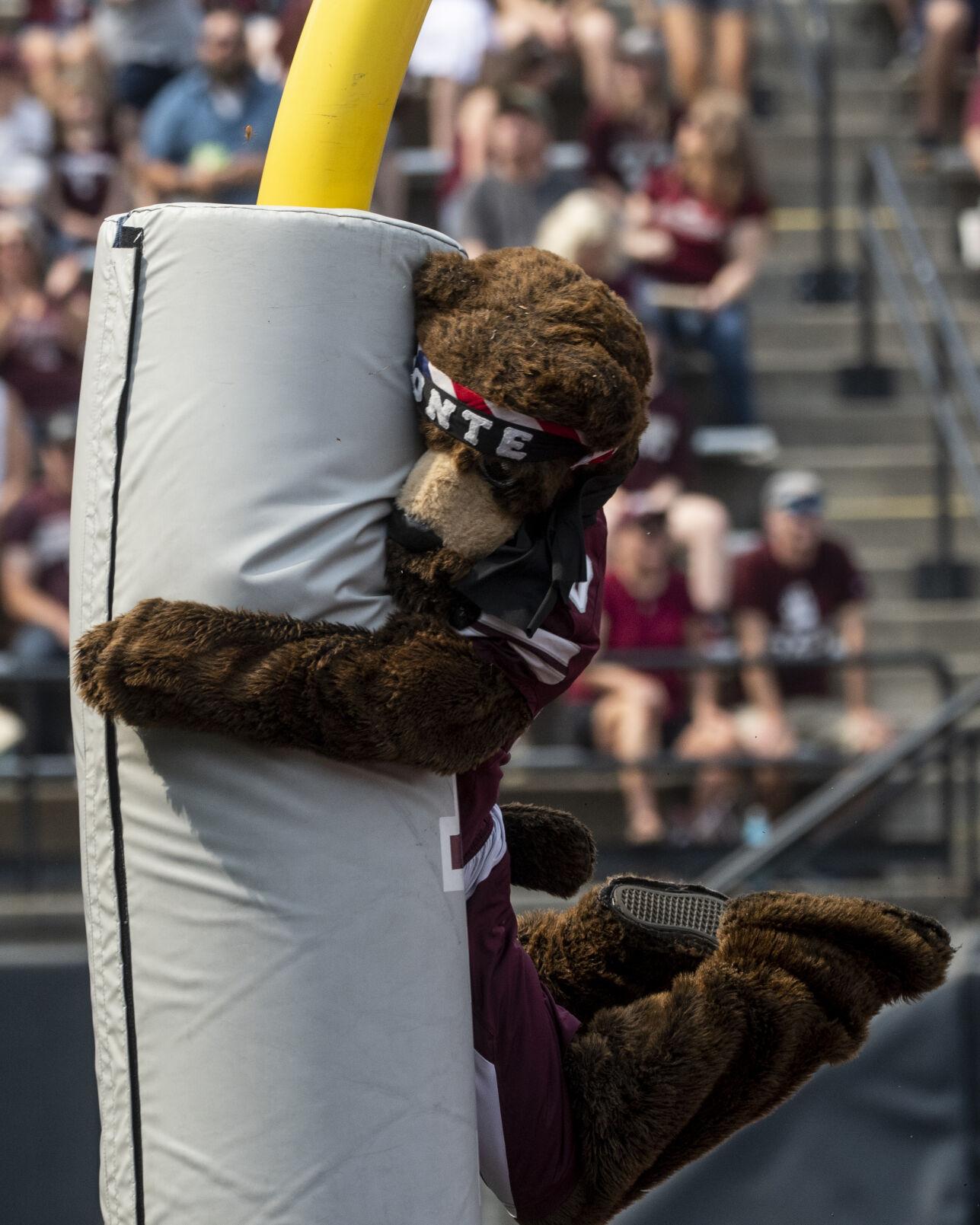 Monte, Montana Griz mascot, inducted in Mascot Hall of Fame