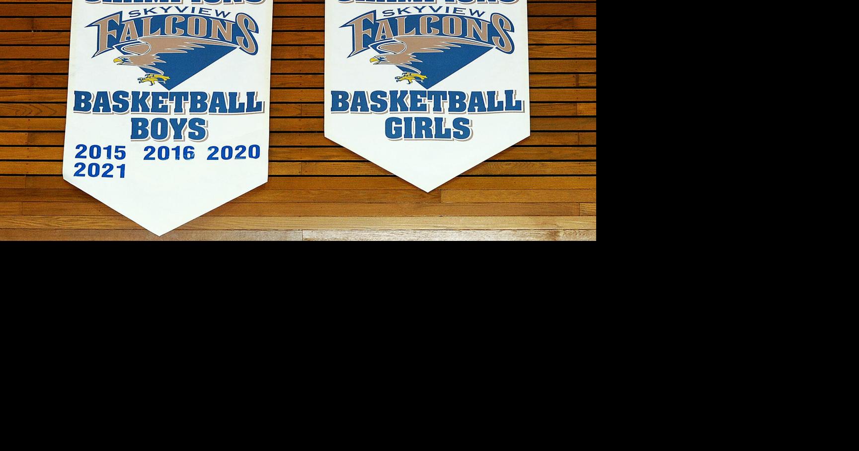 skyview falcons logo