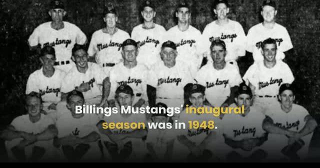Retrospective | A look at the storied history of the Billings Mustangs