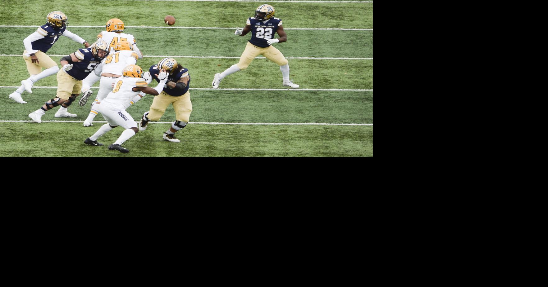 MSU vs. Idaho football